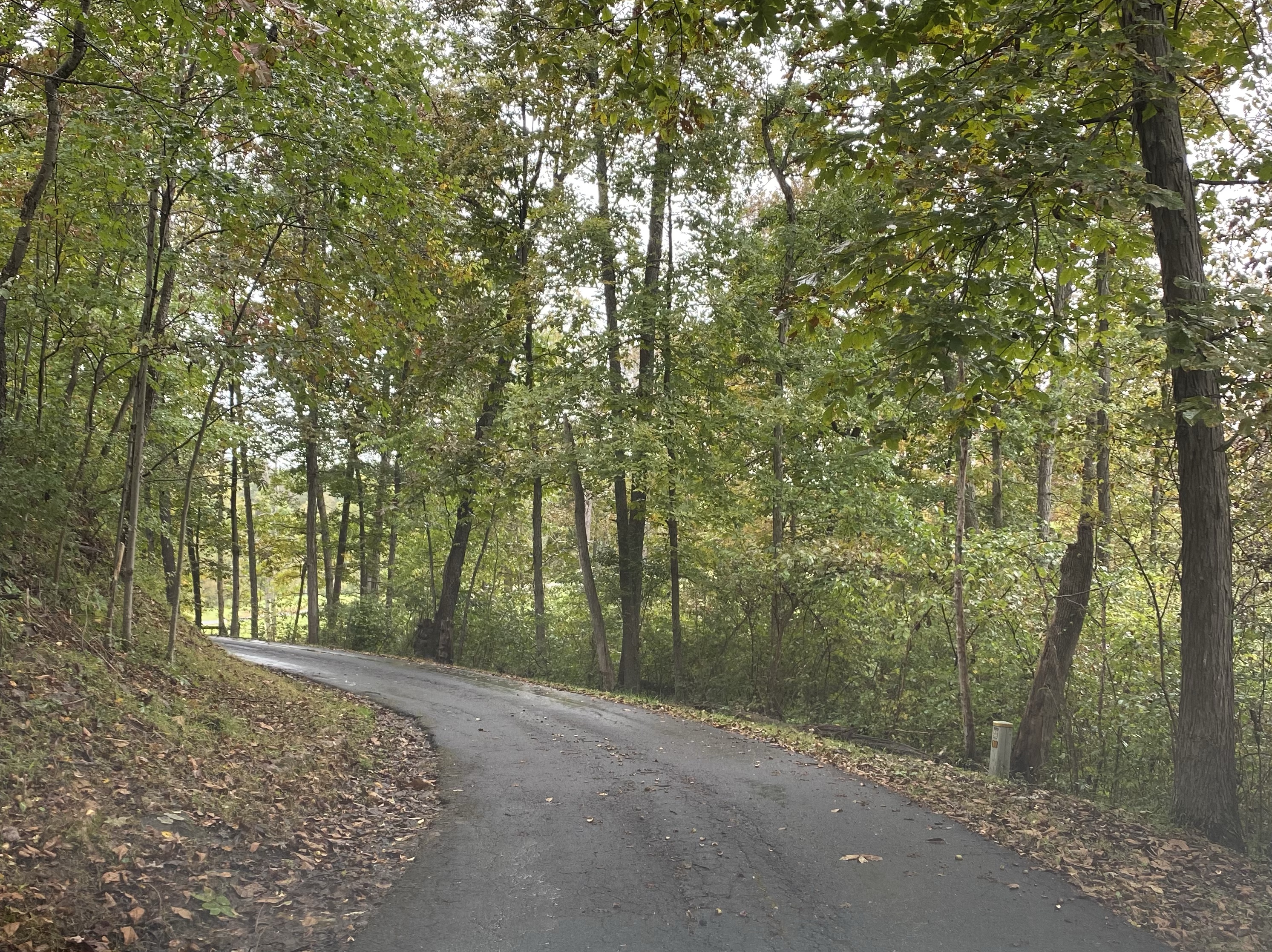 Five Minute Friday Writing Prompt—Road | one_local_gal